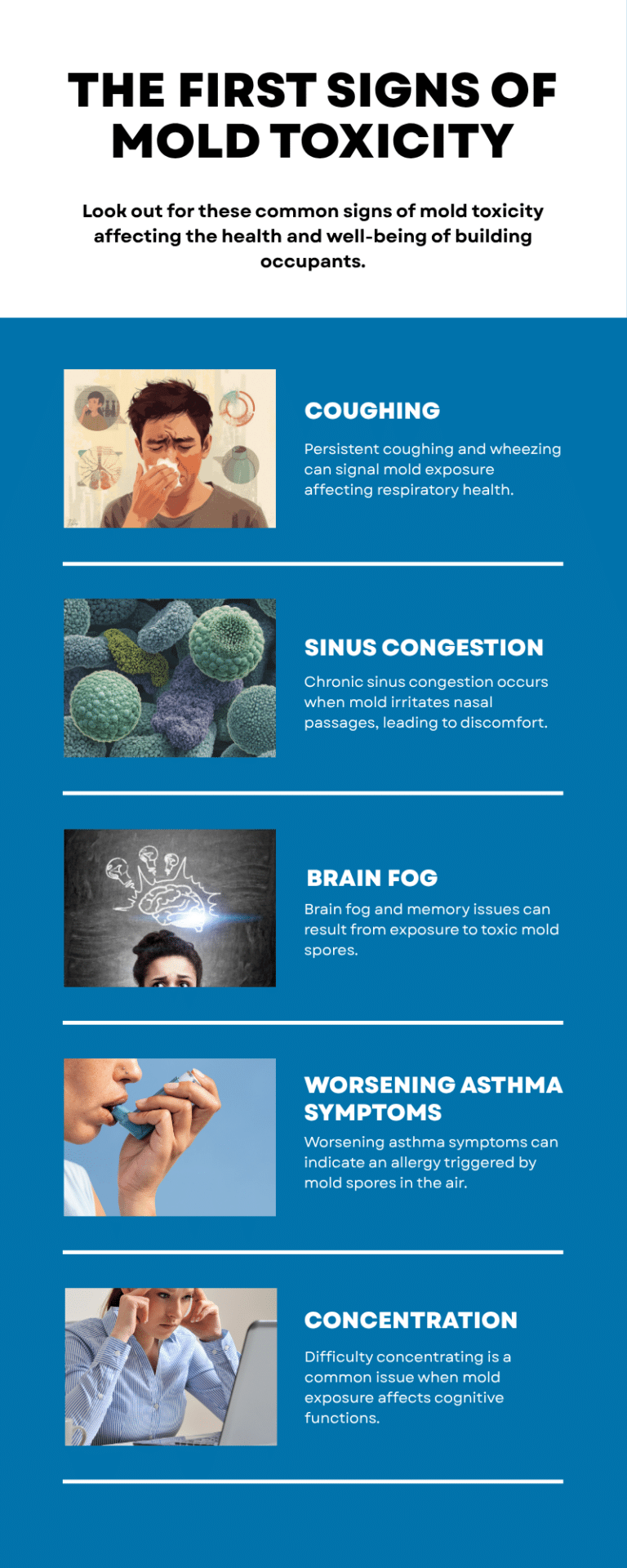 Recognizing the 10 Warning Signs of Mold Toxicity in Your Building ...